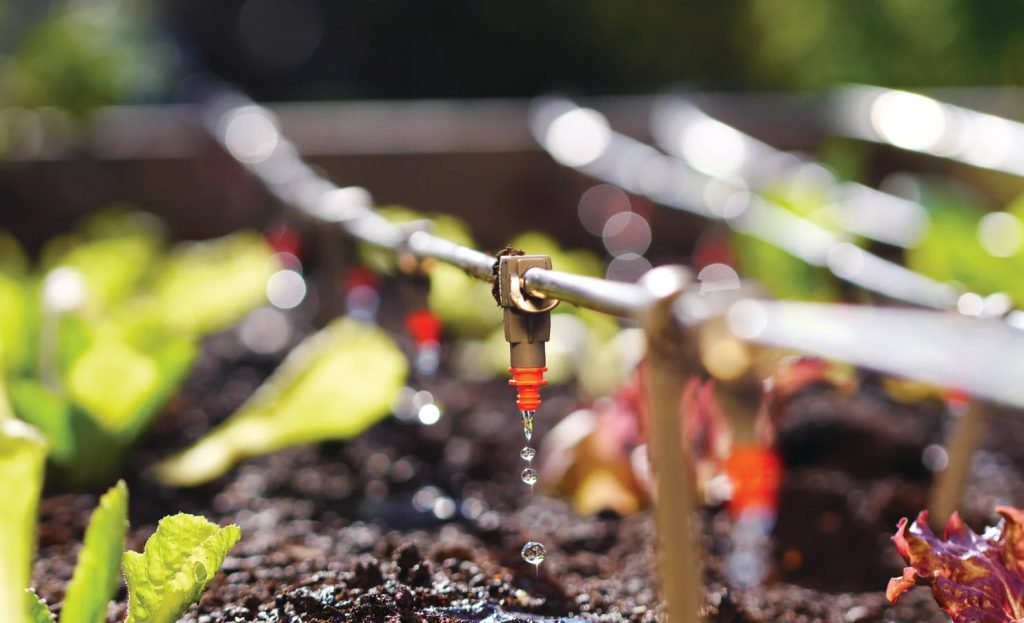 Maintaining Proper Water Pressure and Flow in Drip Irrigation Systems ...